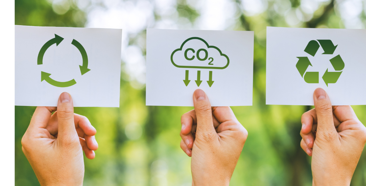 IBIACO - Sustainability in FMCG: From Green Commitments to Profitability